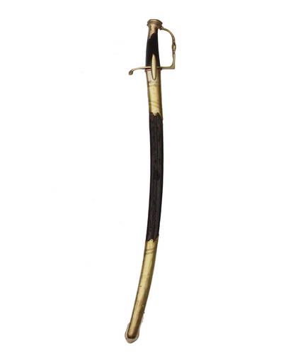 French Briquet Sword Saber With Gilded Blade