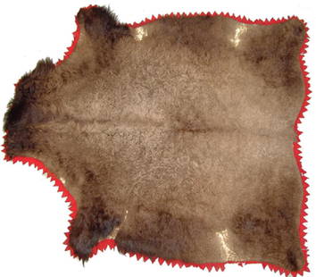Old Buffalo Hide Blanket