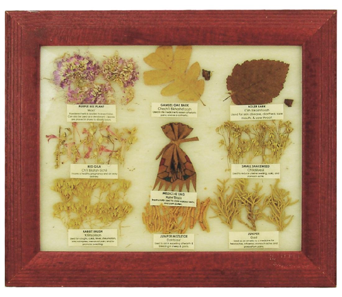 Navajo Medicine Chart
