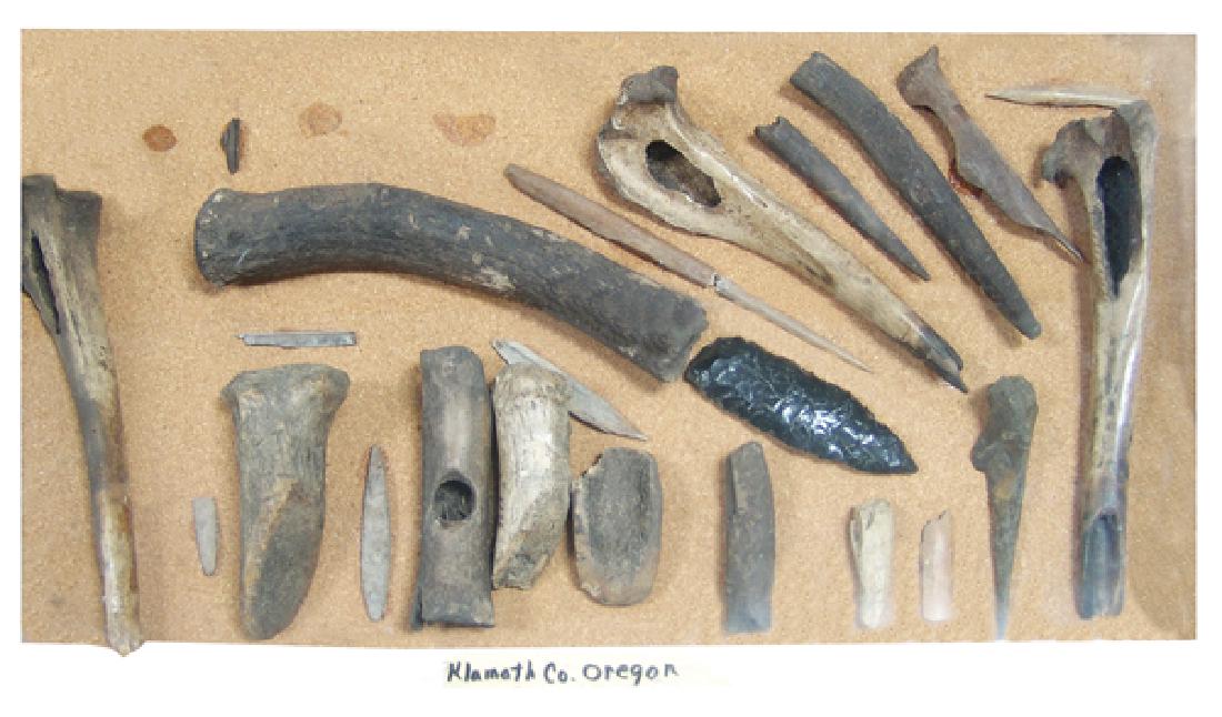 Bone and Antler Tool Display