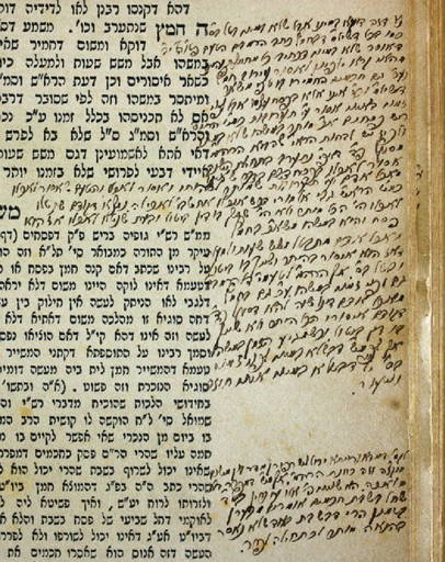 Novellae By The "avnei Nezer" On The Rambam
