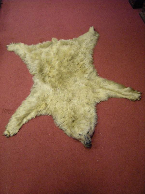 1269: A POLAR BEAR SKIN RUG, FULL HEAD MOUNT, FELT