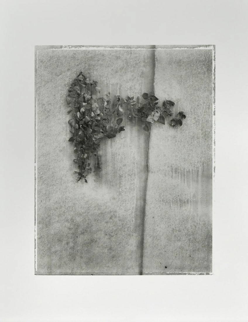 Byung-hun Min (1955-) Auction