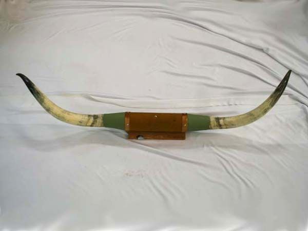 Set Of Bullhorns