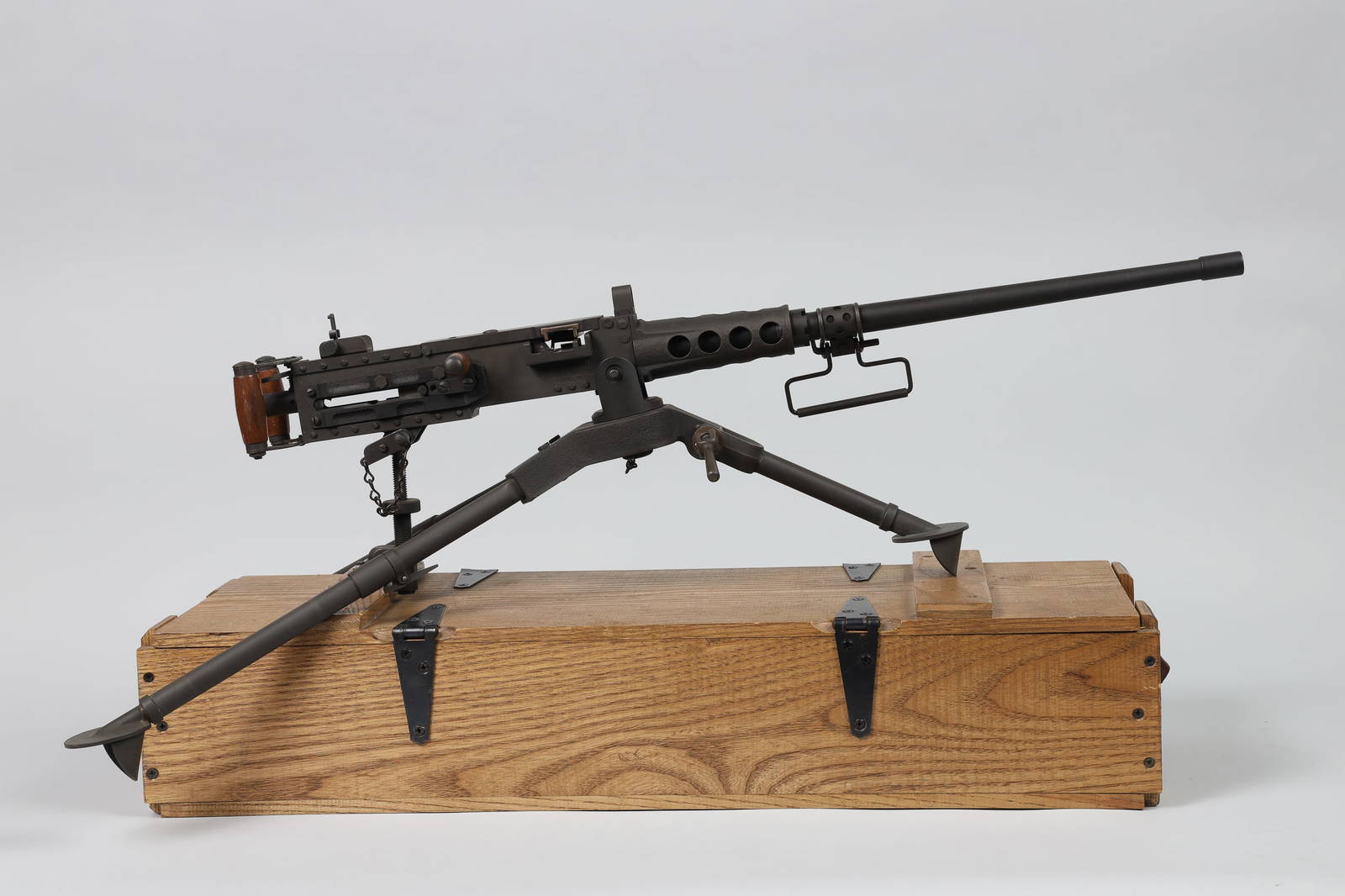 Tippmann Arms M2hb Semi Rifle .22 Mag Auction