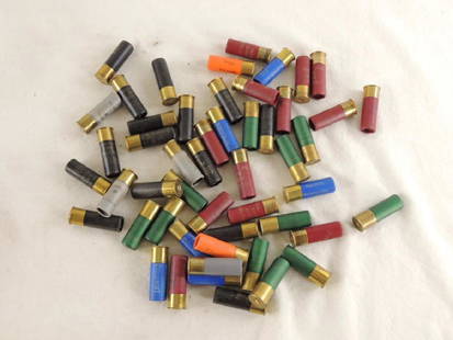 12 Ga. Shotgun Shells