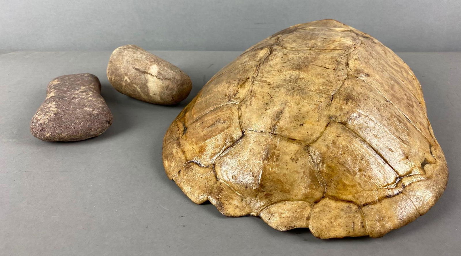 Group Of 3 Native American Artifacts And Turtle Shell Auction