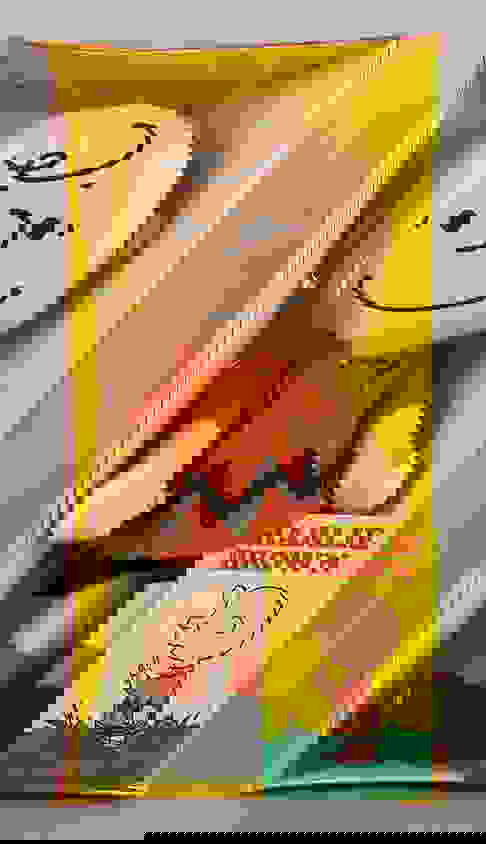 Ideal Peanuts Charlie Brown Rag Doll Auction