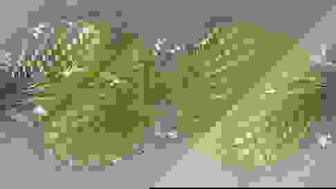 Group Of 2 Yellow Embossed Ribbed Glass Underplates Auction