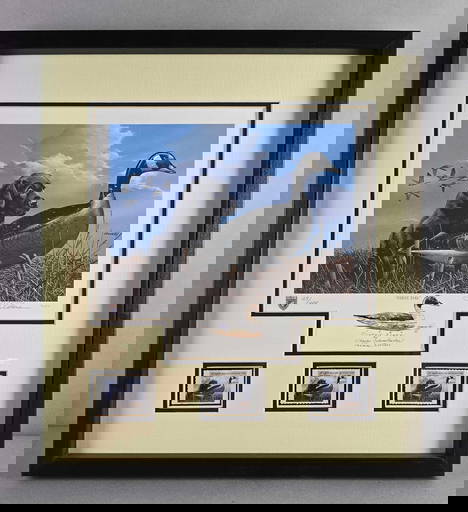 Signed Philip Crowe 1991 Illinois Duck Print With Stamps