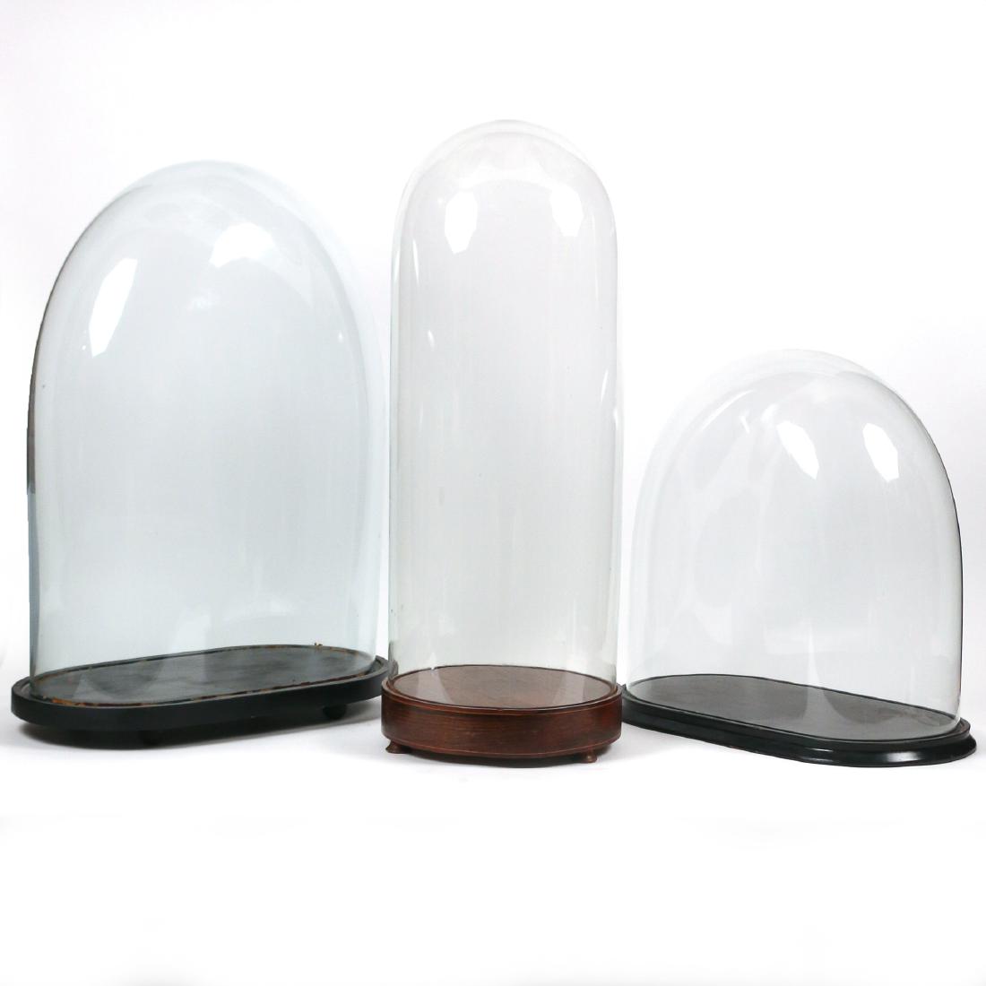 (3pc) LARGE ANTIQUE GLASS DISPLAY DOMES