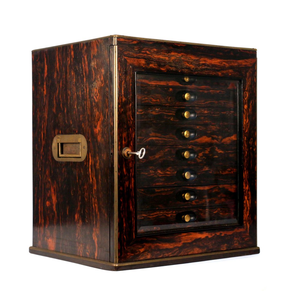 EDWARDIAN CALAMANDER SPECIMEN BOX