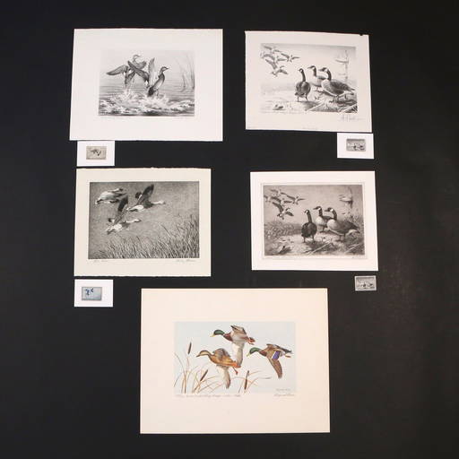 (5pc) Federal Duck Stamp Prints (1951 1959)