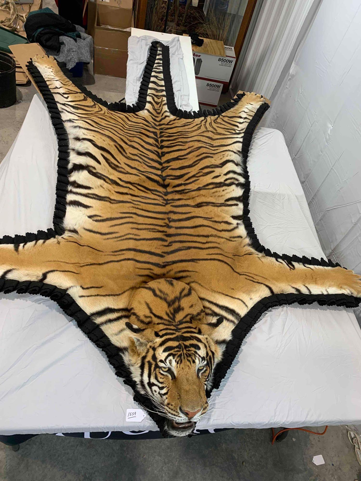 taxidermy tiger rug OHIO buyers only - Mar 24, 2022 | Steve Chupp ...