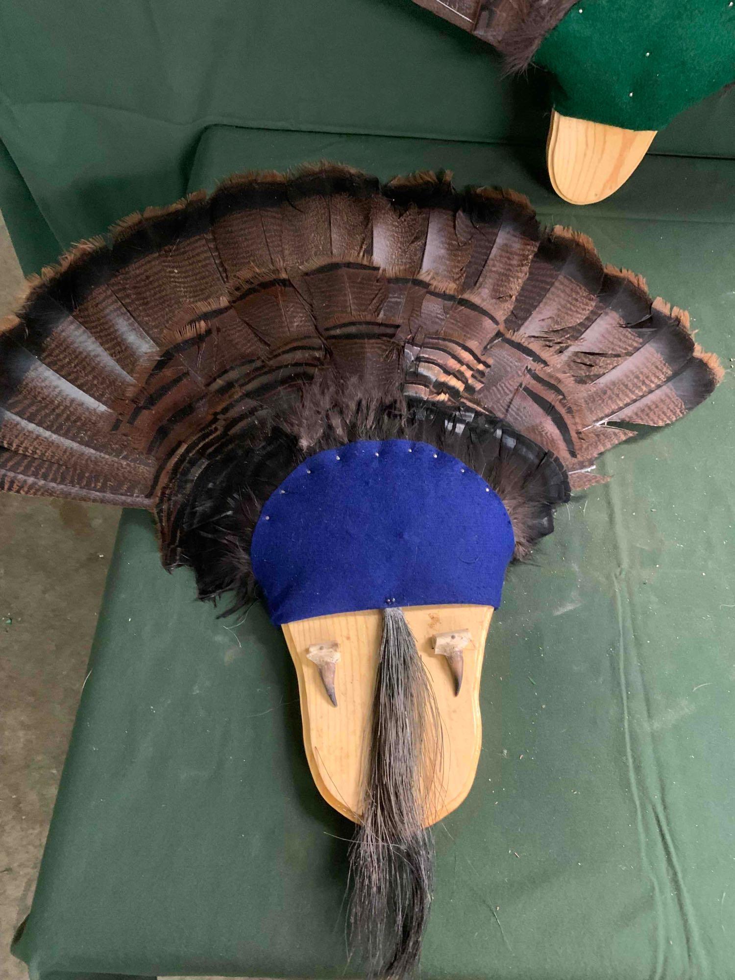 Taxidermy Turkey Fans