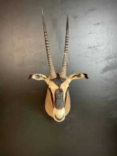 Steve Chupp Auctions, OH - Upcoming Auctions & 9 Past Catalogs