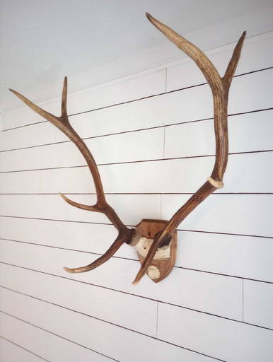 Super Dark Elk Rack On Plaque