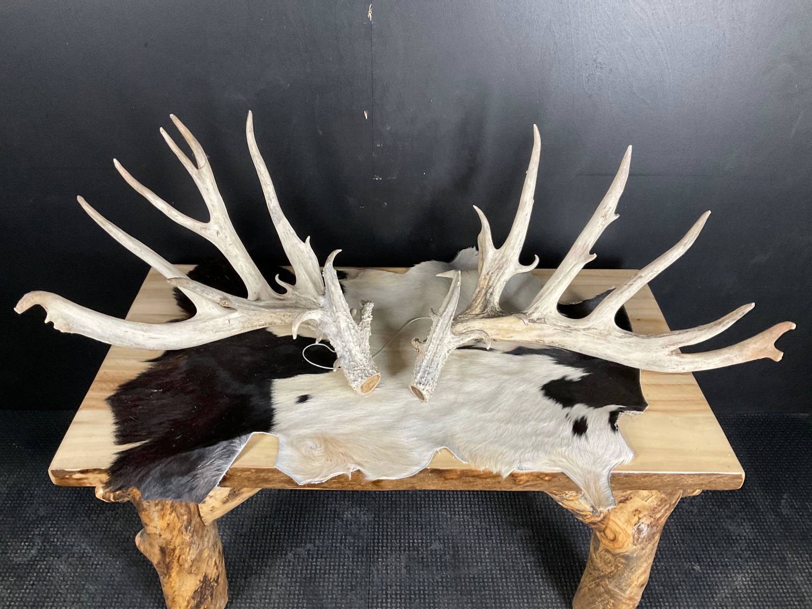 Massive Set of Whitetail Cutoffs (#1154) on Mar 23, 2023 | Steve Chupp ...