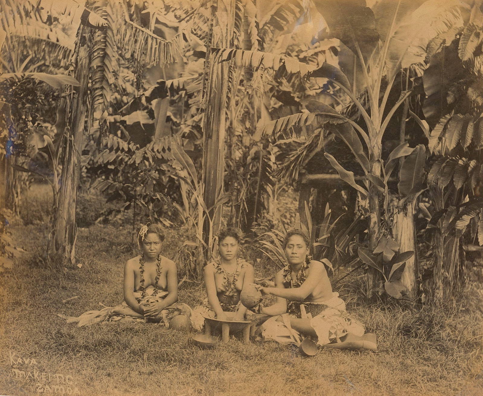 Samoa. Samoan Women Making Kava, C1893 Auction