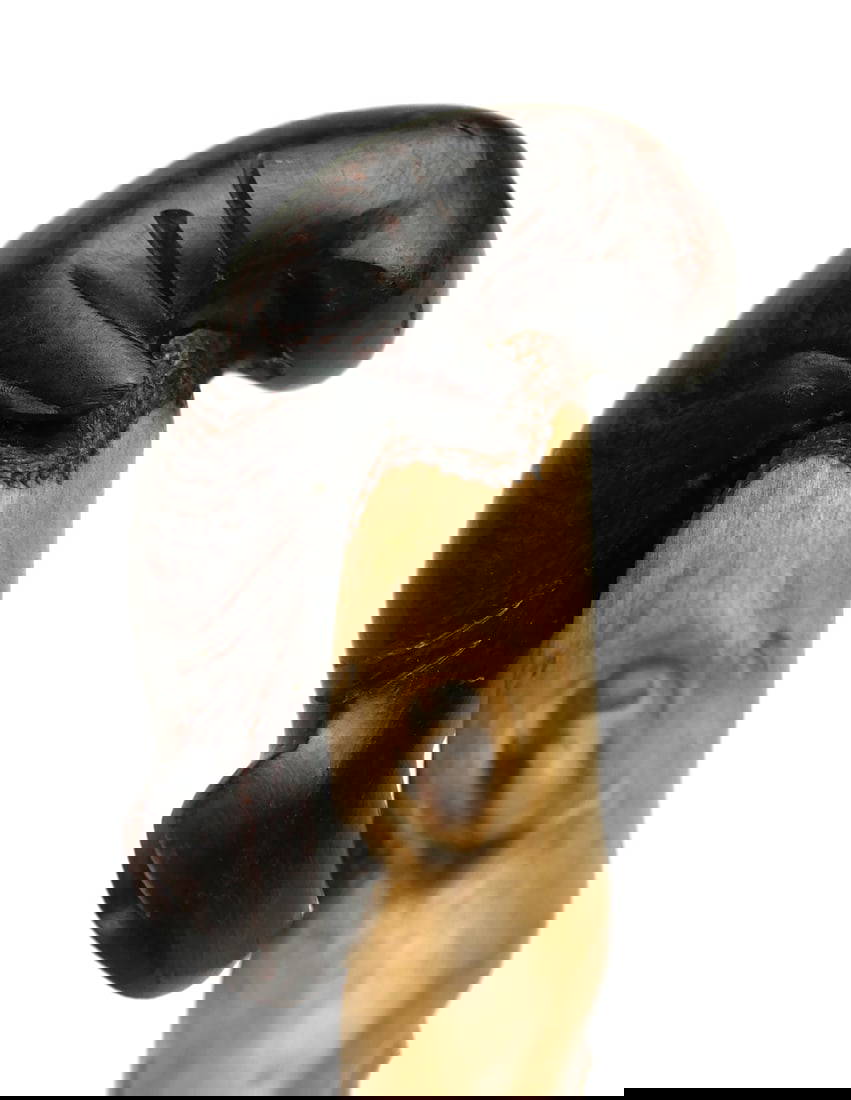 Vintage Carved Manatee Walking Stick Auction