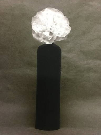 Marc Duke, Peony Flower Photograph Print