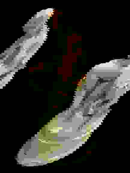 Charles Bell Birch Bisque Sculpture - Wood Nymph Auction