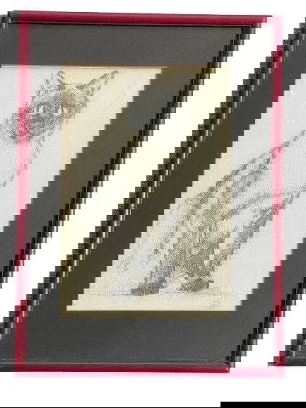 Buy Bob Deegan Charcoal & Pencil Cat Drawing | Winter Park Gallery In Fl