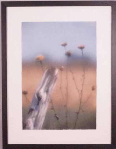 Tom Kilty "fence Post" Original Photograph