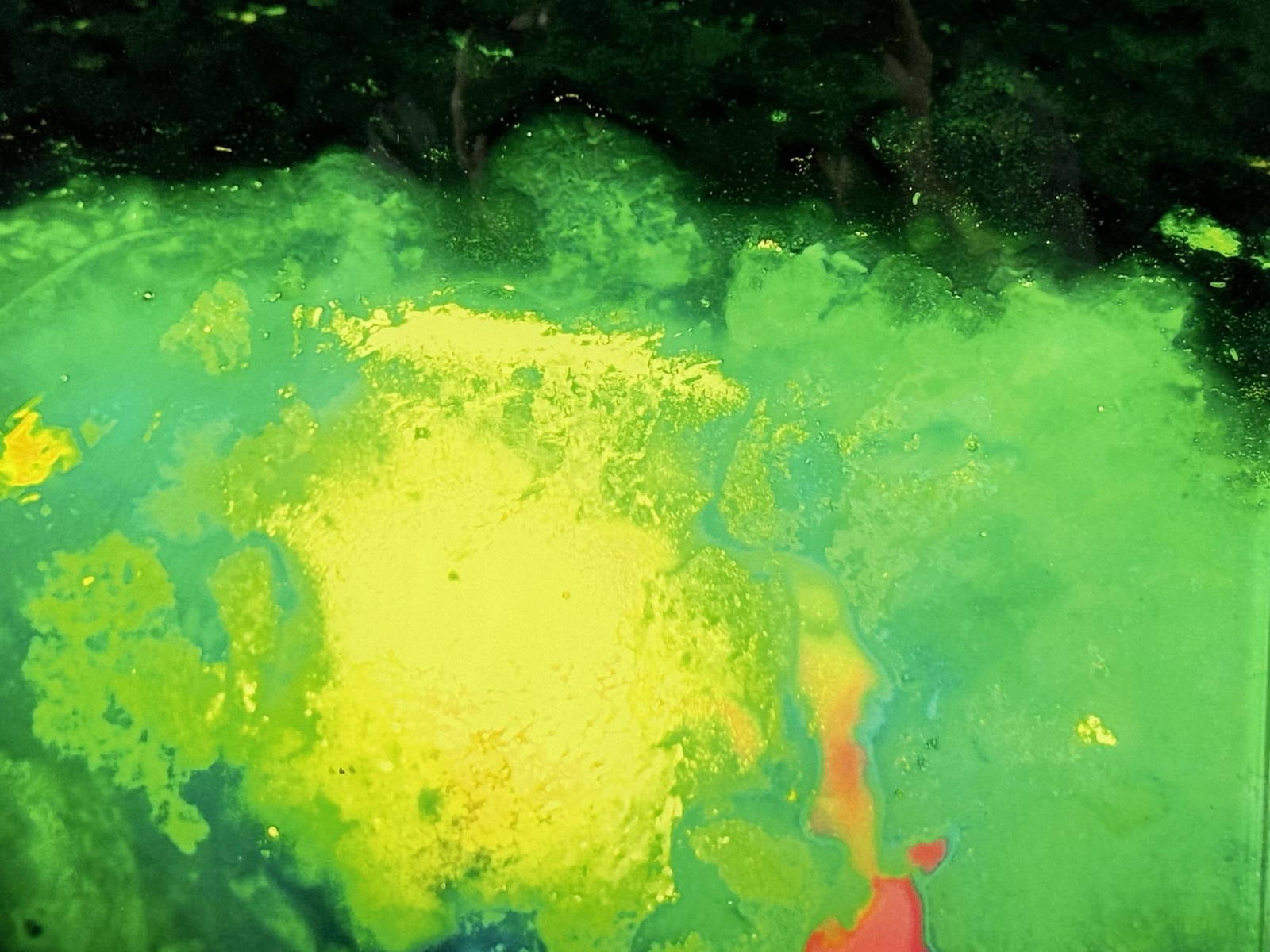 Lester Marks "sun Burst" Auction