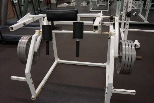 Power Squat, Pendulum, No Weights