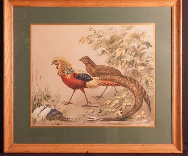 CONRAD ROLAND "PHEASANTS" WATERCOLOR