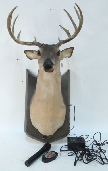 WALL MOUNT "BUCK" TALKING ELECTRIC DEER HEAD