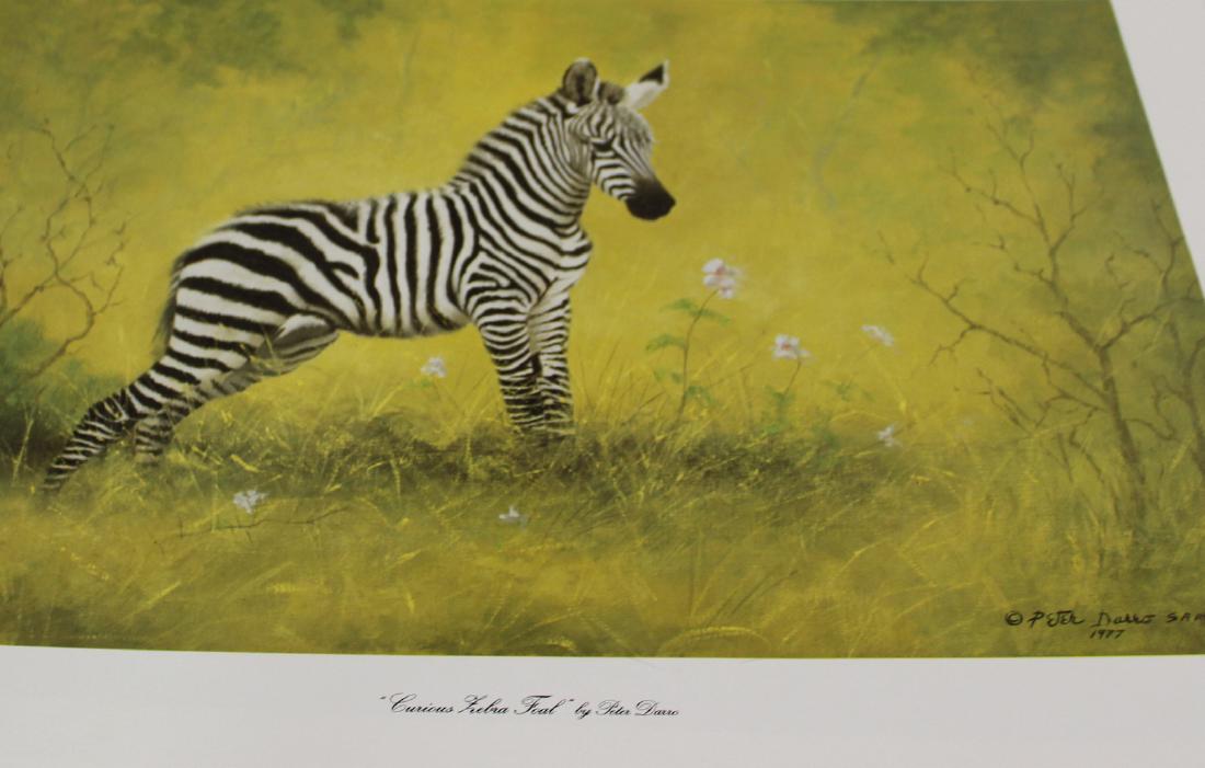 Peter Darro. African & Domestic Animal Prints. (16)