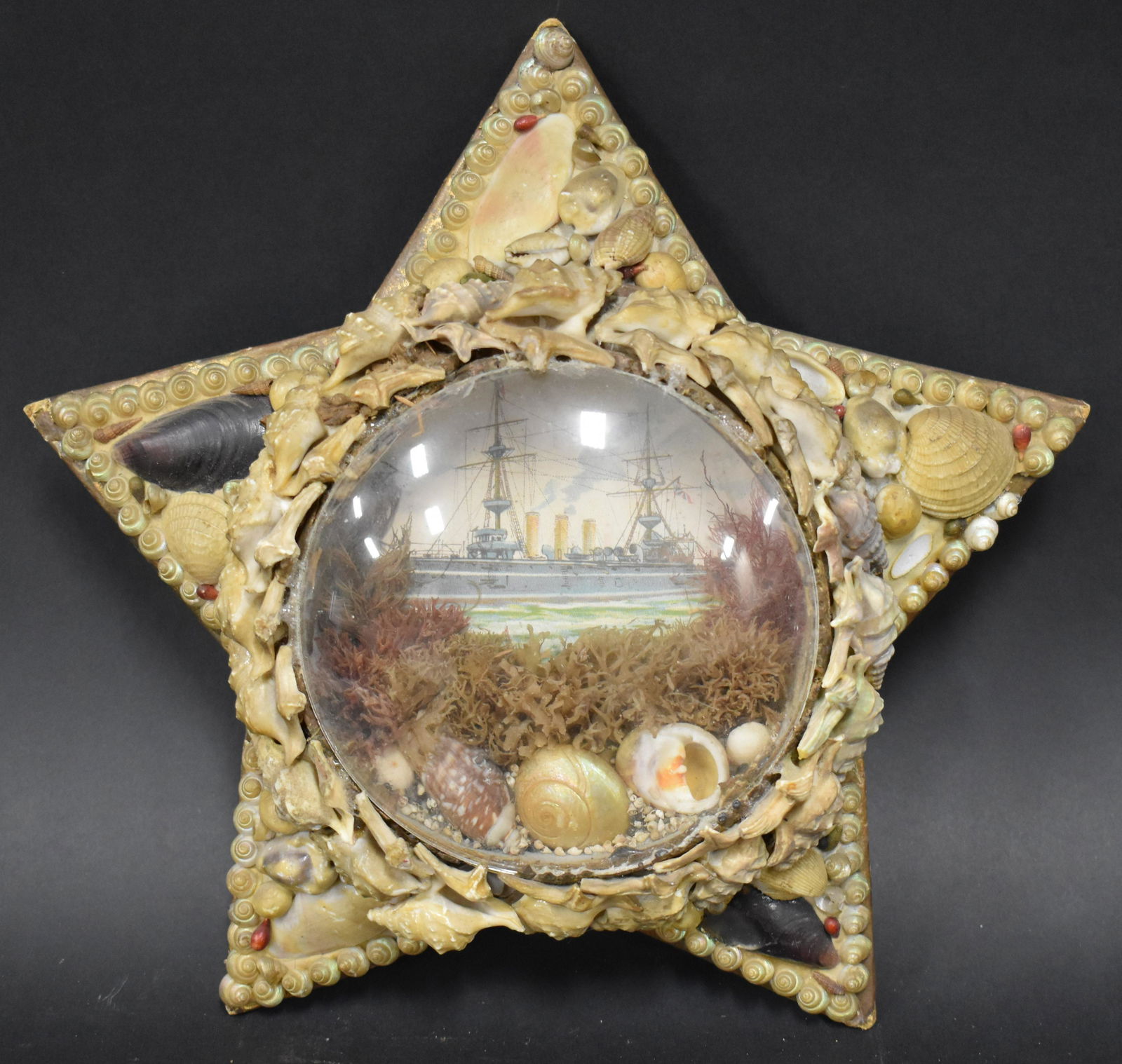 Antique Shell Art "Star" Shadowbox - Mar 07, 2020 | Mid-Hudson Auction ...