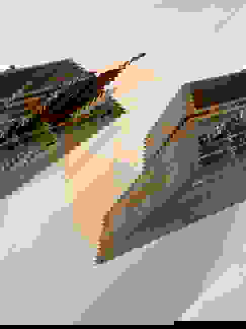 Antique Wooden Barbers Box W/straight Razors Auction