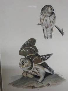 J.j. Audubon. Octavo. Mink. No.33