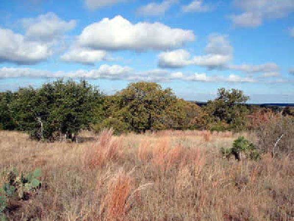 Gov: Tx Land, Dell Valley Off Hwy 62 Scenic City Lots