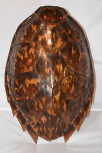 Antique Turtle Shell Fan