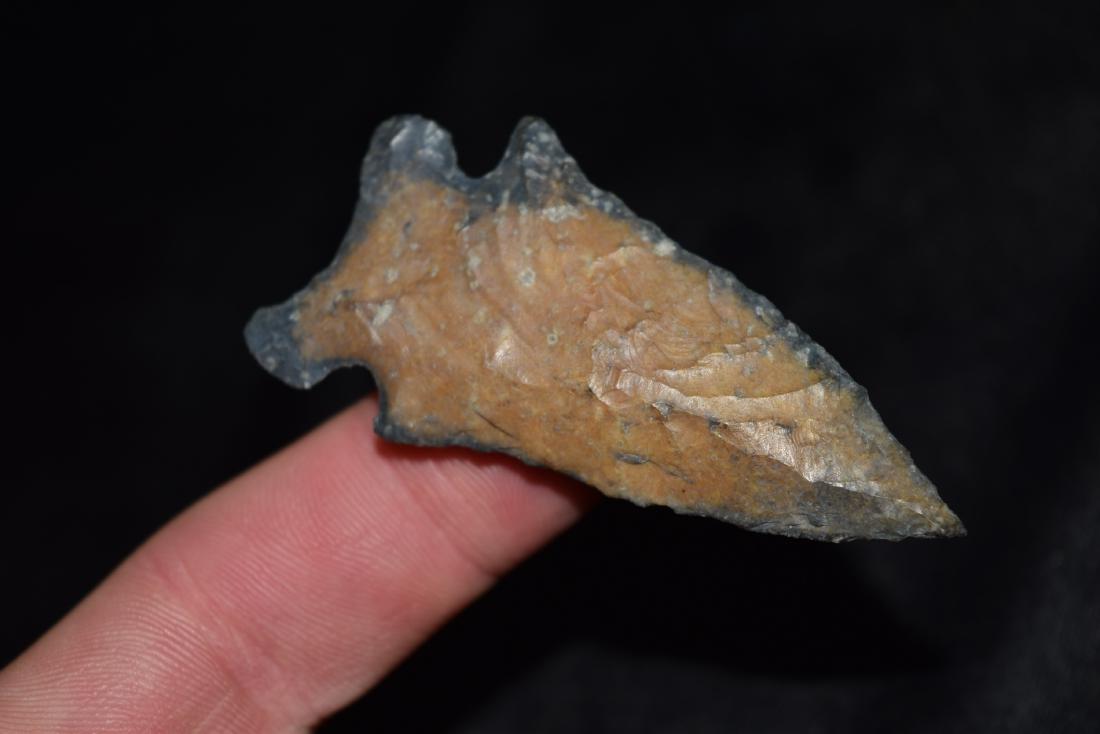 2 1/2" Graham Cave, creek stained, brown chert