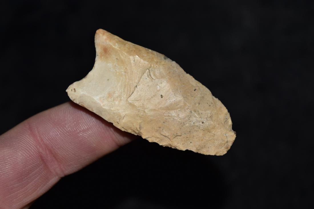 2 1/4" Clovis double fluted Burlington Flint ground