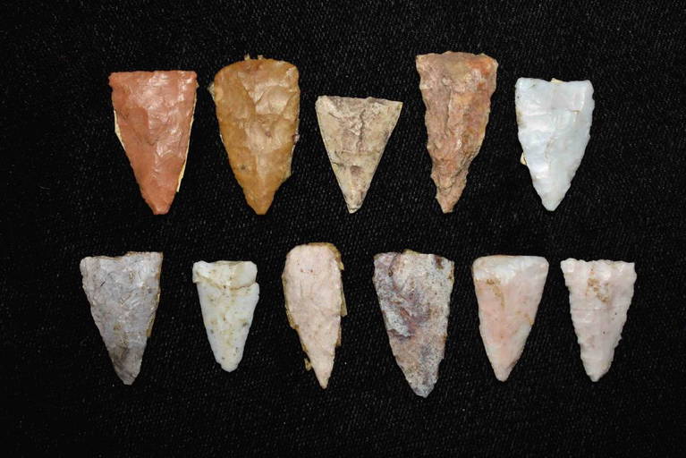 10 Common Madison Bird Points