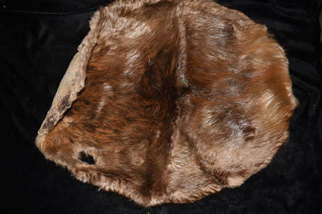 Jaguar Hide Pelt