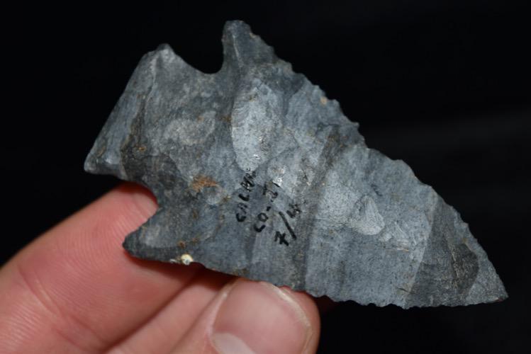 5 1/2" Moline Chert Hardin, Calhoun Co, Illinois, - Jan 12, 2020 ...