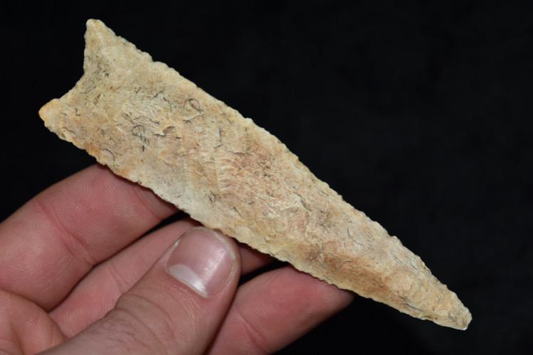 4 11/16" Plainview Point, Ralls Co, Mo, Motley Coa