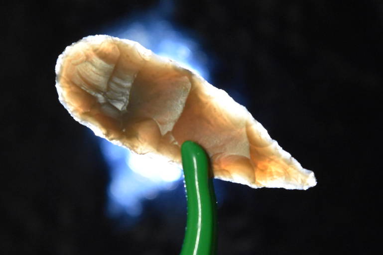 1 1/8" Madison Point, Kentucky, Gem Grade Arrowhead,