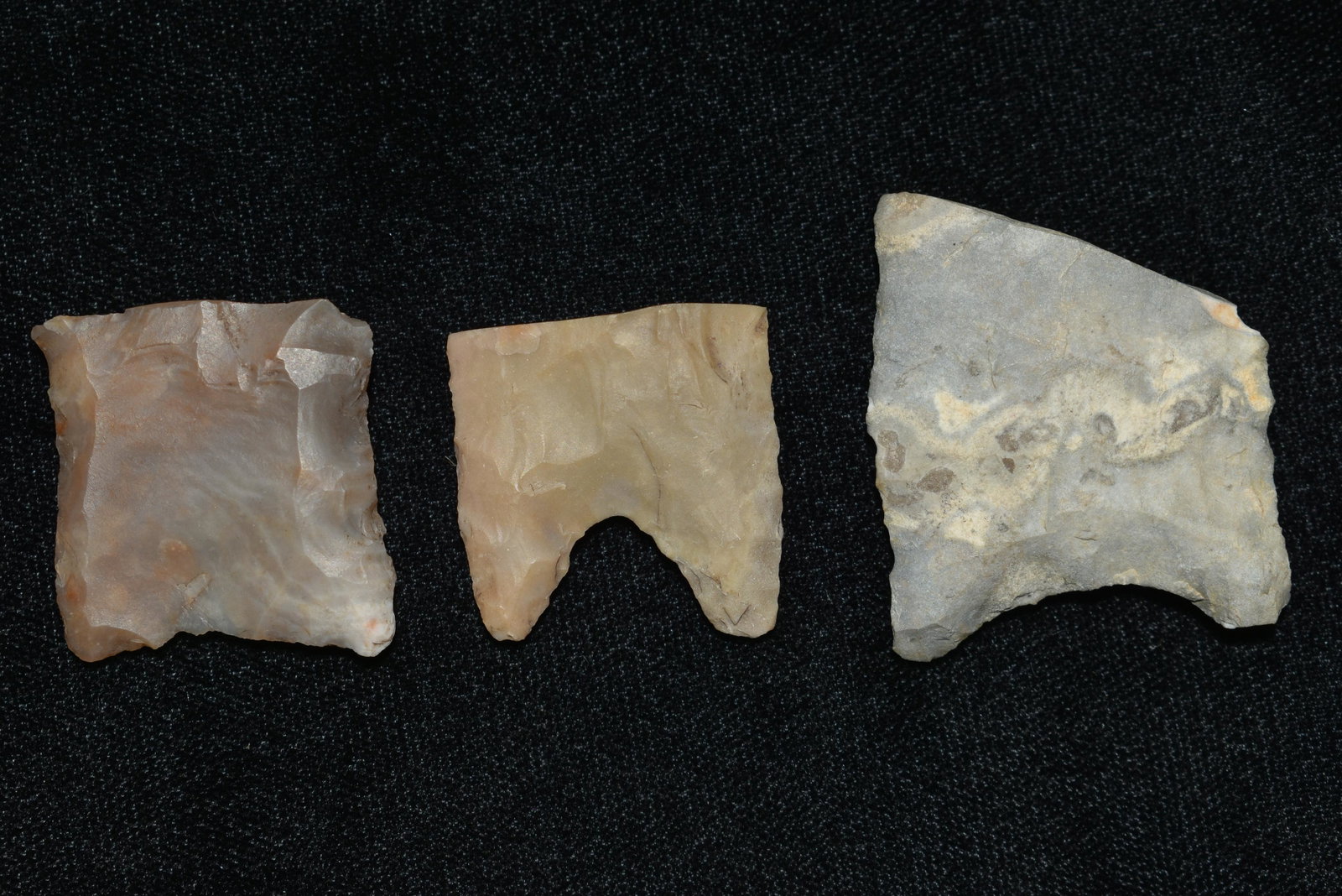 Lot of 3 Paleo Bases, the Longest piece measures 1 1/2" - May 21, 2020 ...