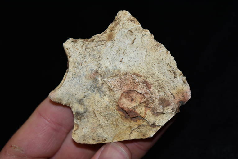 3" Point, Ex Jerry Inman Collection, Georgia