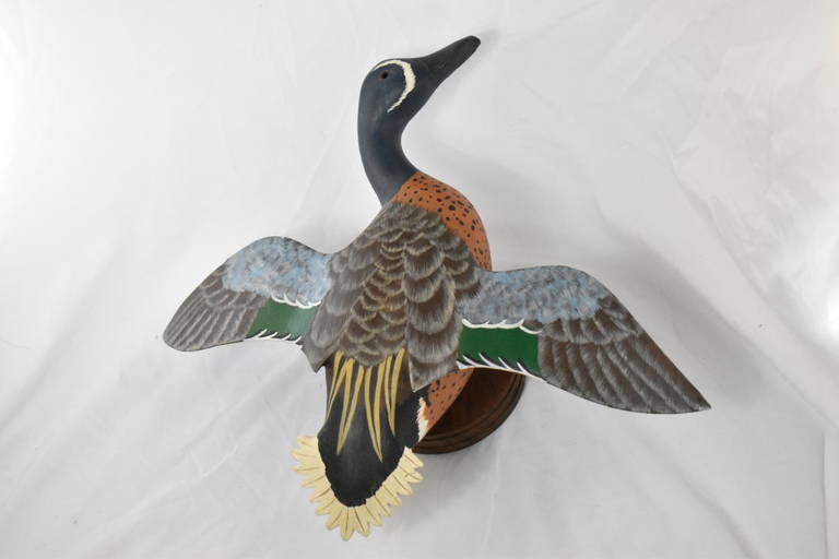 Vintage Blue Wing Teal Duck Decoy With Wall Hanging