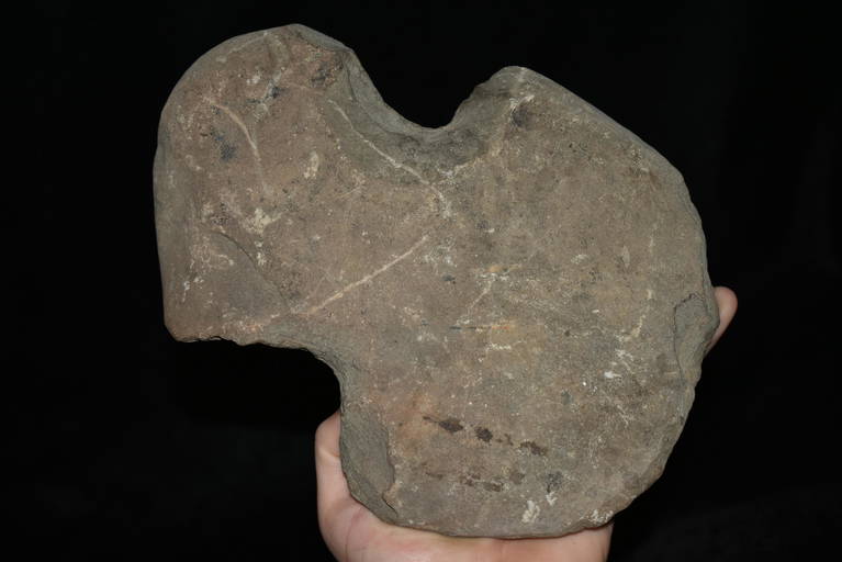 8" Chipped Axe, Musselshell, Mt, Creel Poore Was Born