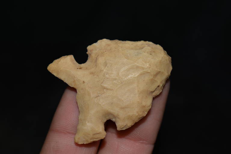 1 1/2" Graham Cave Point, Native American Artifacts